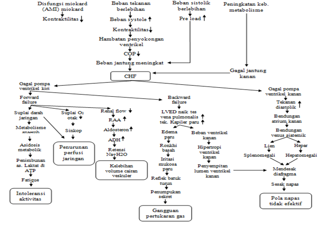 Makalah dan Askep CHF (Congestive Heart Failure)