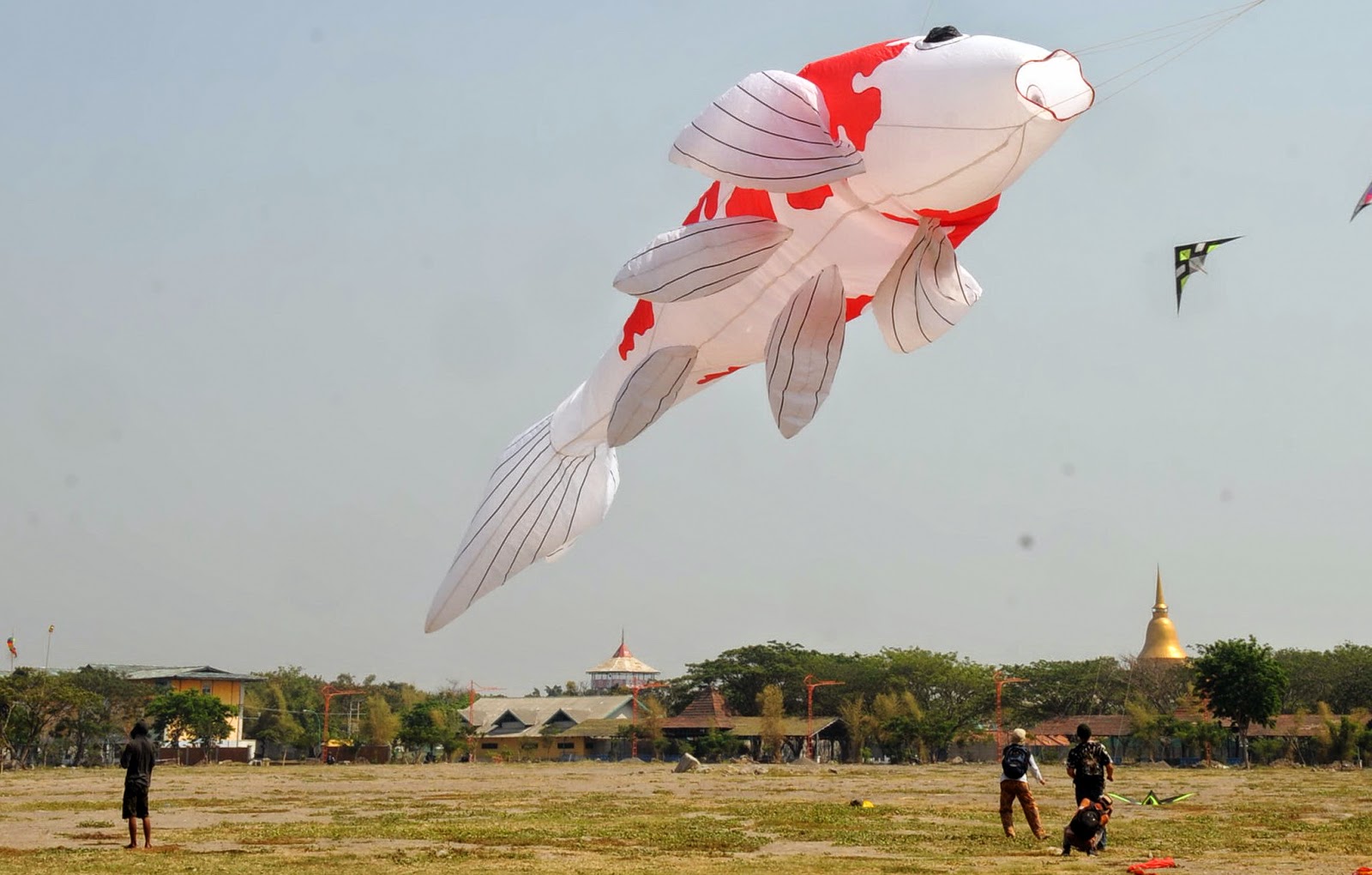 Serunya Festival Layang-layang Surabaya | Griya Teduh