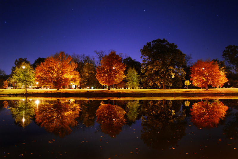 Art to talk about: Nightfall~