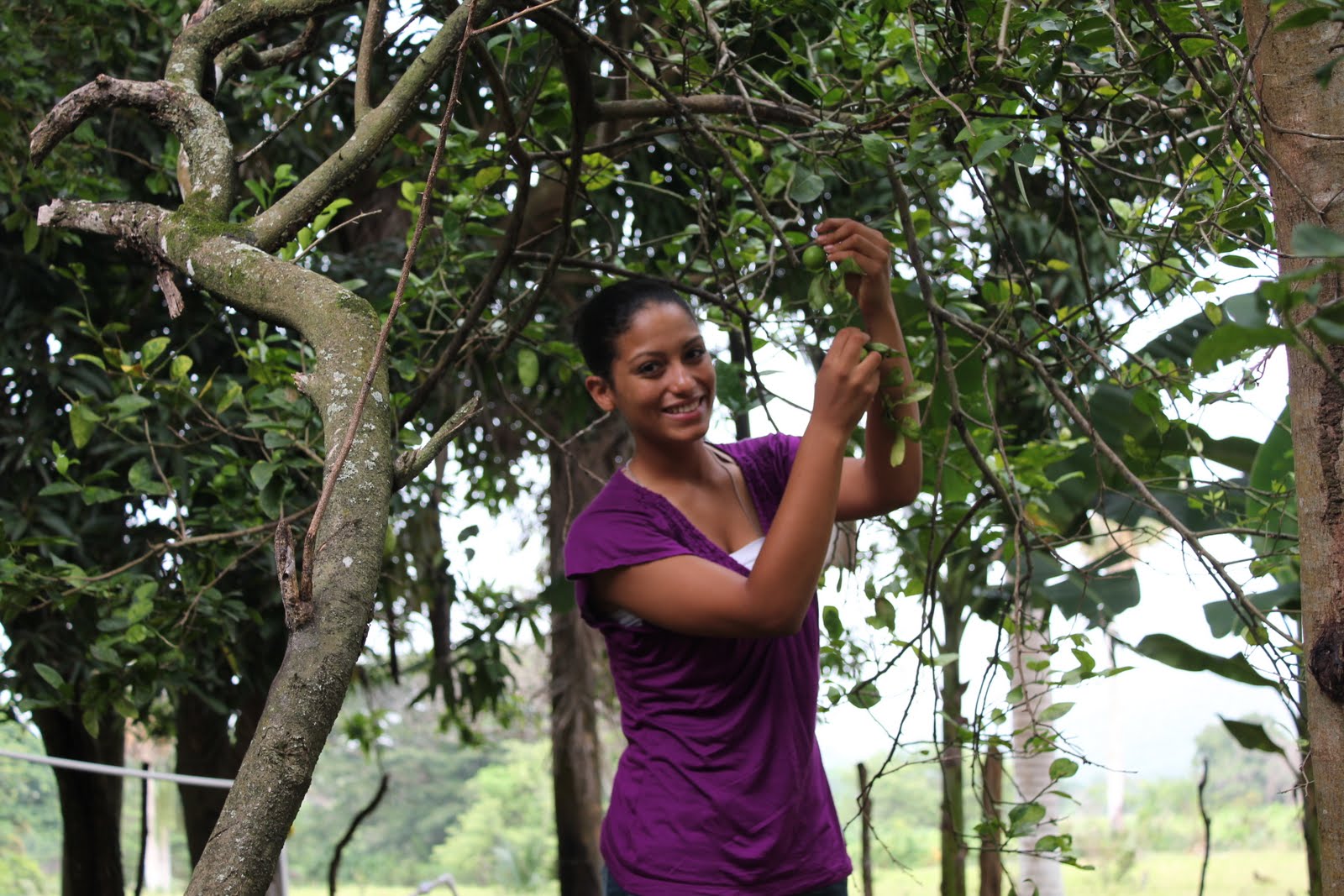 Georgetown Comunidad Scholarship Association: Announcing GCSA’s Fall ...