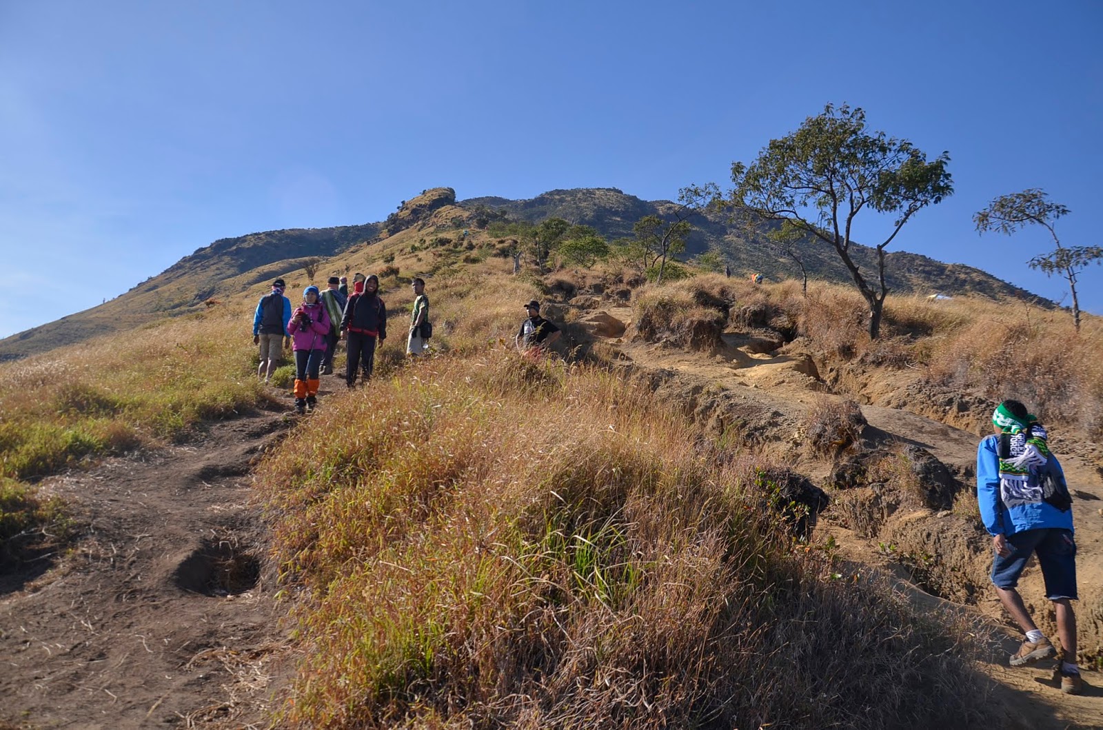 Pendakian Gunung Sumbing Via Garung - SEPASANGCARRIER