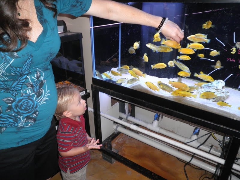 McLain Life: Day 2 With Alicia - Fish Gallery