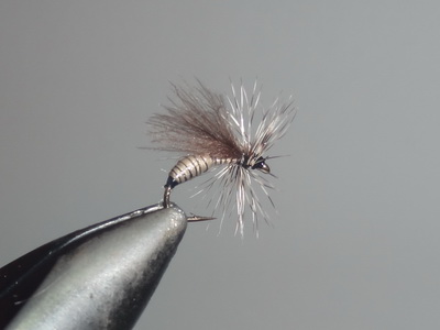 Megan- muste artificiale: Muste uscate -furnica pentru pastrav si lipan.