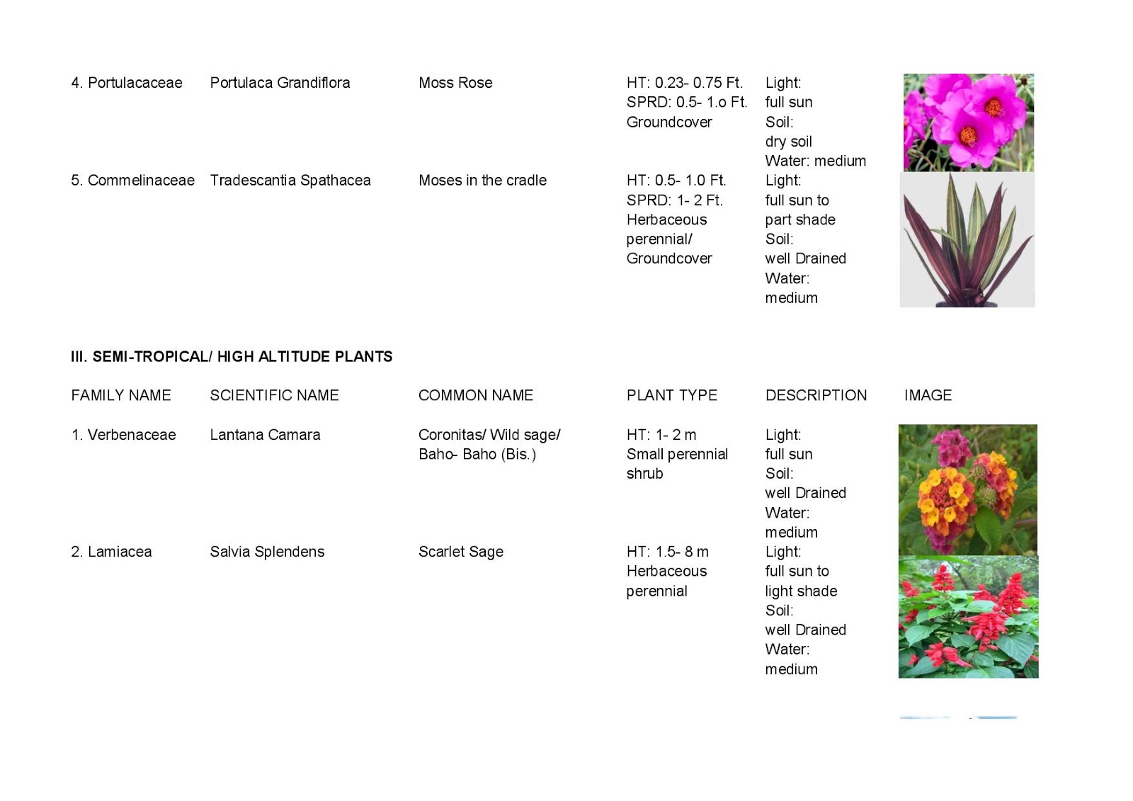 Softscape Materials: Plant List 1