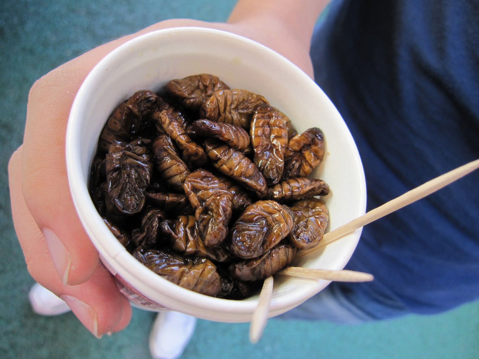 10 Bizarre Foods To Try In Asia