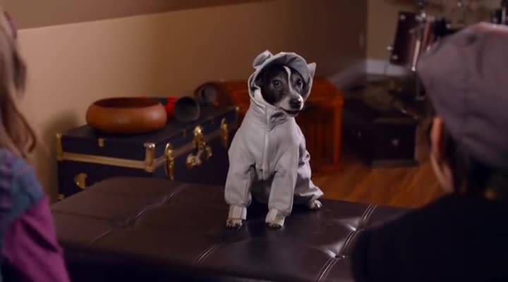 Taliesin meets the vampires: Vampire Dog – review