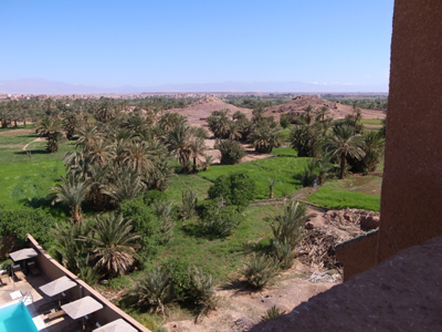 What's On in Sahara? - Morocco Desert Palm Tours -: Dar Chamaa ...