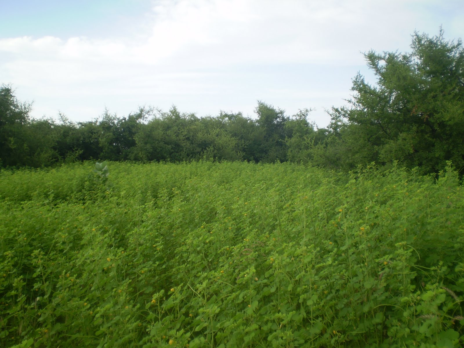 Monguel مونكل: مناظر طبيعية من مقاطعة مونكل