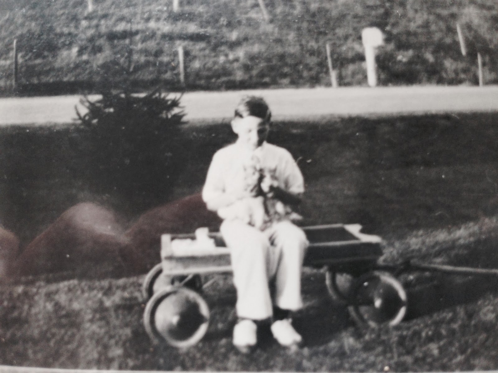 Argetsinger Family Tree