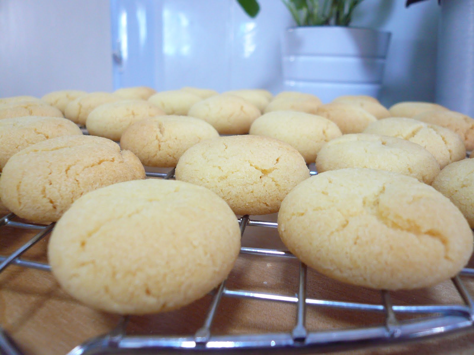 Sugabakes: Crunchy Suji Cookies