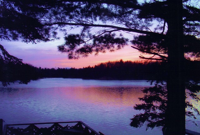 Gladwin Real Estate News: 221 Dennis Dr, Gladwin MI - Smallwood Lake ...