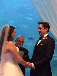 HOLLYWOOD SUE CAMERON: LUCIE ARNAZ AND LARRY LUCKINBILL'S BEAUTIFUL ...