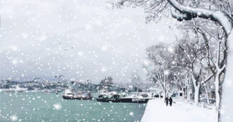 Gif_WINTER_Snowfall_ Animated Image_2 | Joy Design Studio