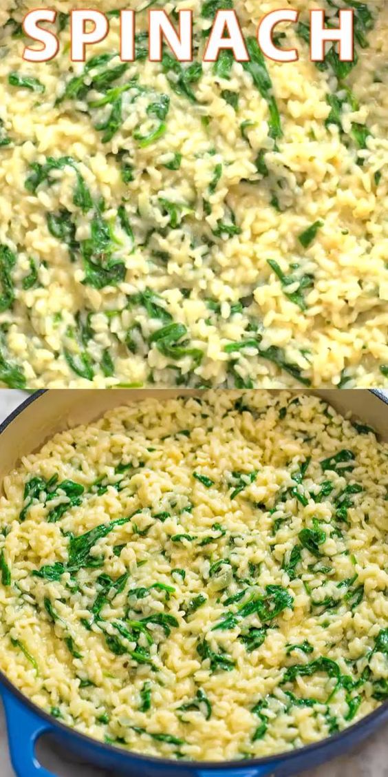 Spinach Risotto - Healthy Recipes Quick Dinner Ideas
