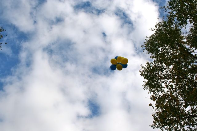 Cottage Country Reflections Why Not Release Balloons Cottage Country Reflections Why Not Release Balloons