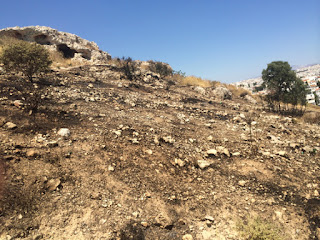 Ιστός της Πηνελόπης: ΛΟΦΟΣ ΠΑΝΙ