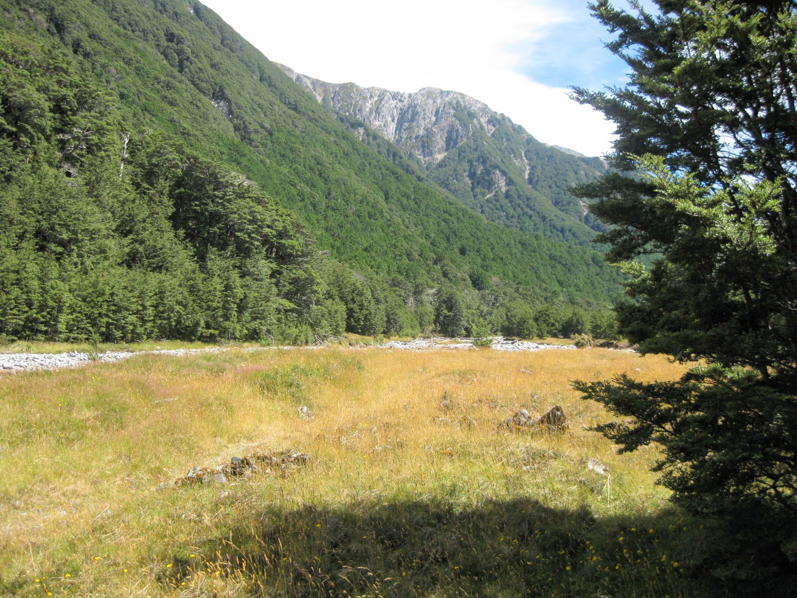 Tramping in the New Zealand backcountry: NZ Bush Adventures: Hawdon ...