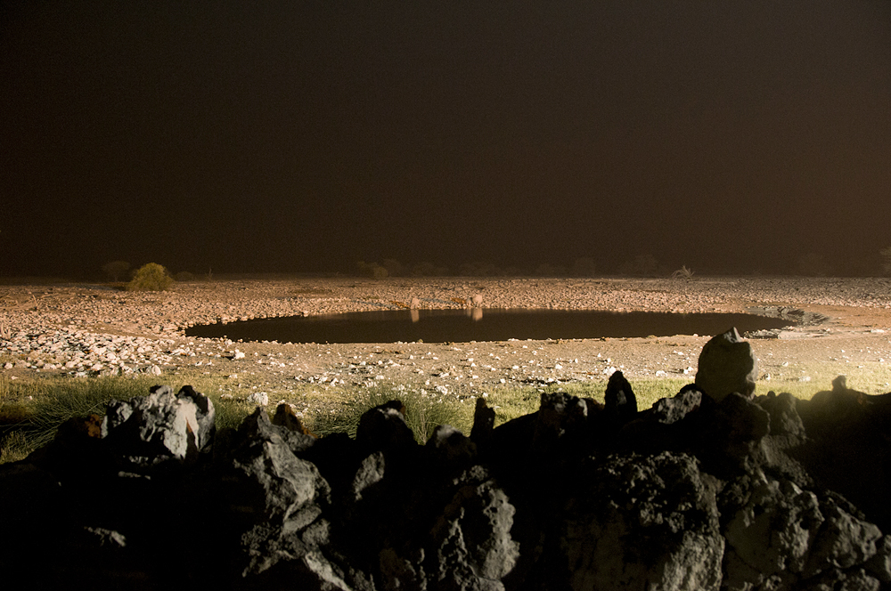 Talking pictures: The rhino story, part 1: Okaukuejo waterhole in ...