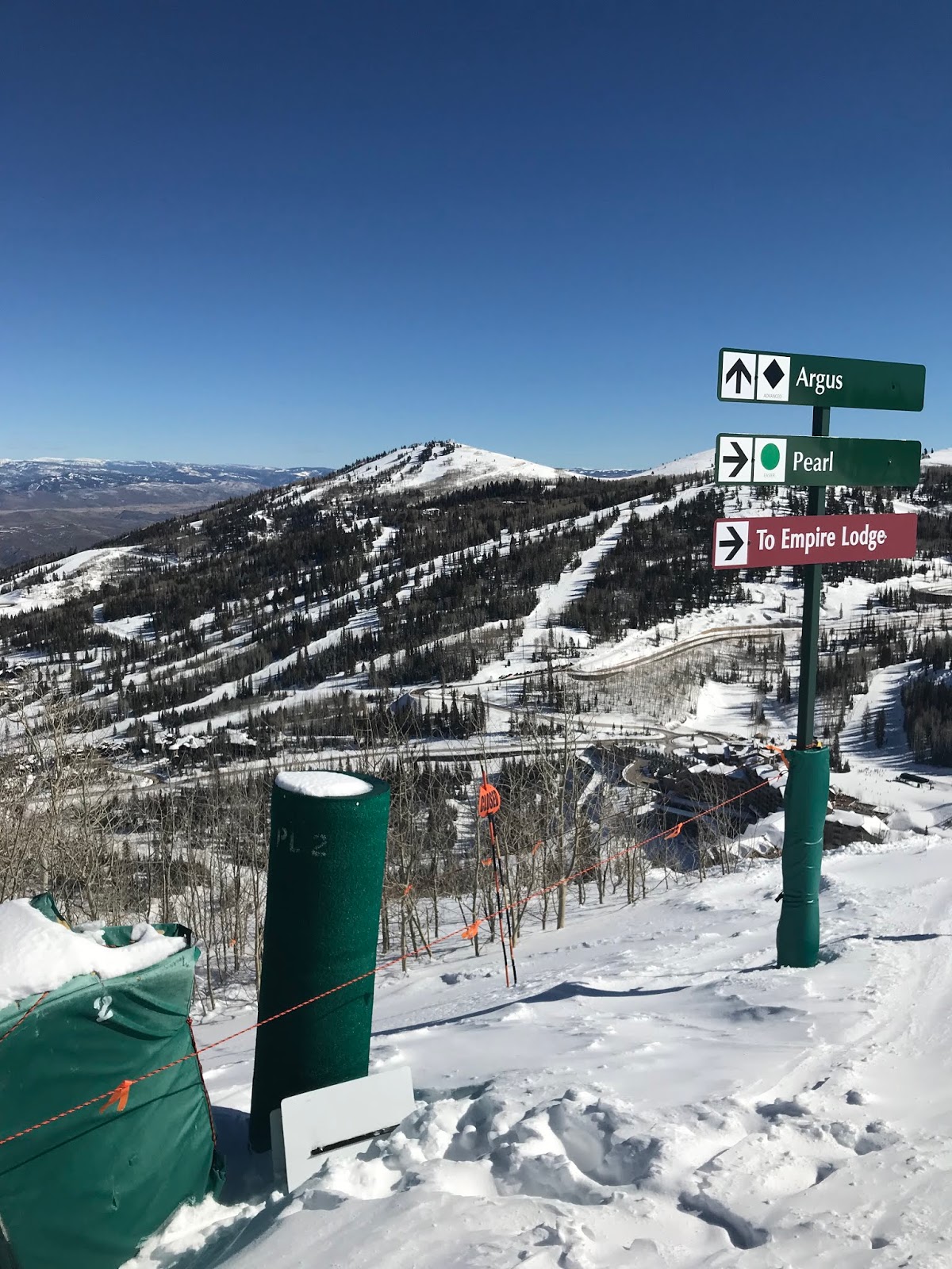 Laura Fazzini: Journal #1