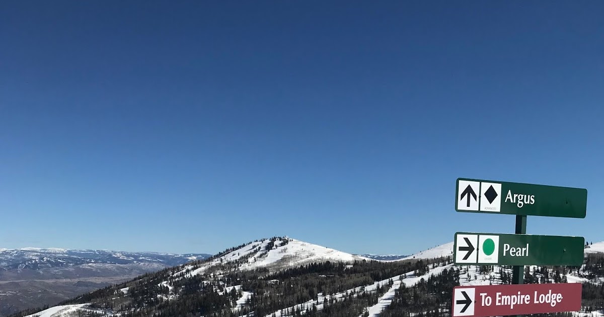 Laura Fazzini: Journal #1