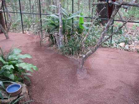 Parrot Behaviour & Enrichment Consultations: Aviary `Re-scaping'