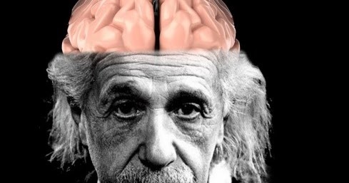 BRAIN OF MATHEMATICIAN