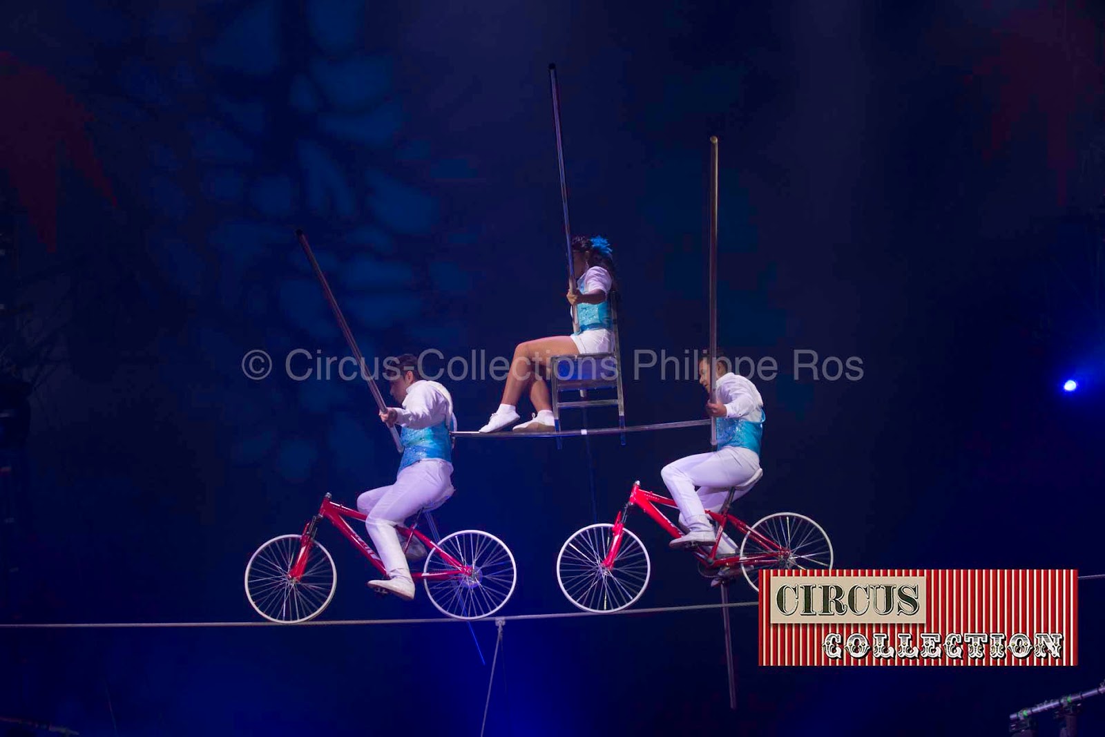 Circus -Collection: Circus Nock 2016 Ritmo y Pasion