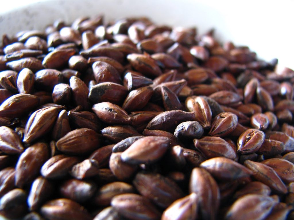 Cervezal: Los 11 tipos de malta que más se utilizan en la Cerveza