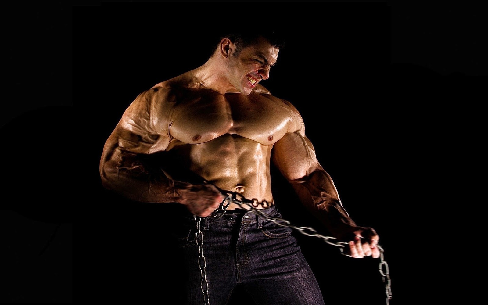 Steroid Cycles - World Bodybuilding