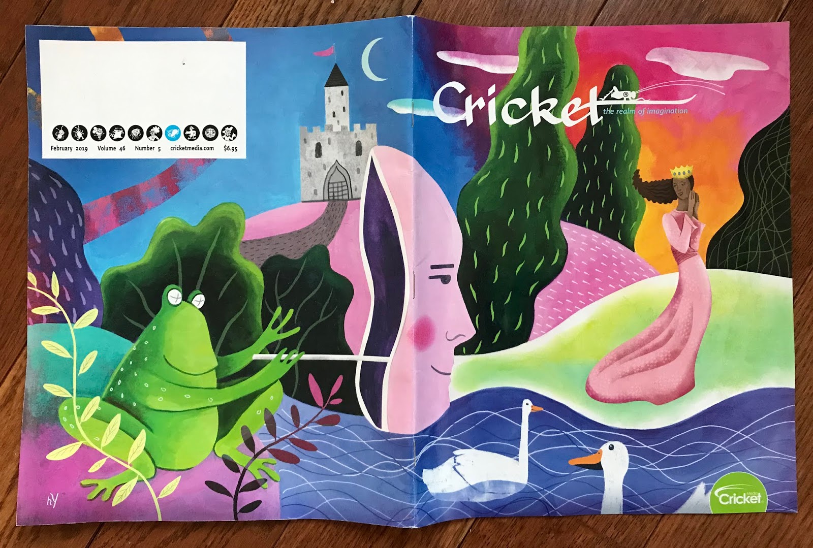 Heidi Younger Illustration: Cricket Cover