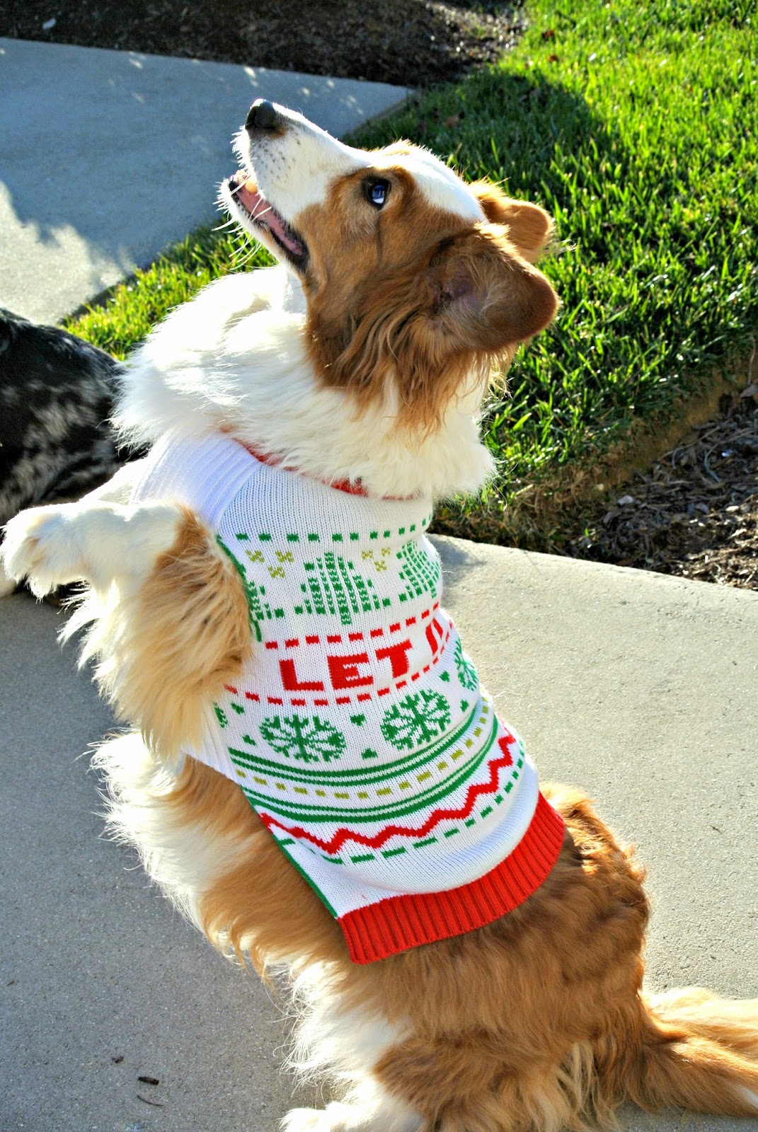 The Chronicles of Cardigan: Tacky Cardigan With Words on It, Squared ...