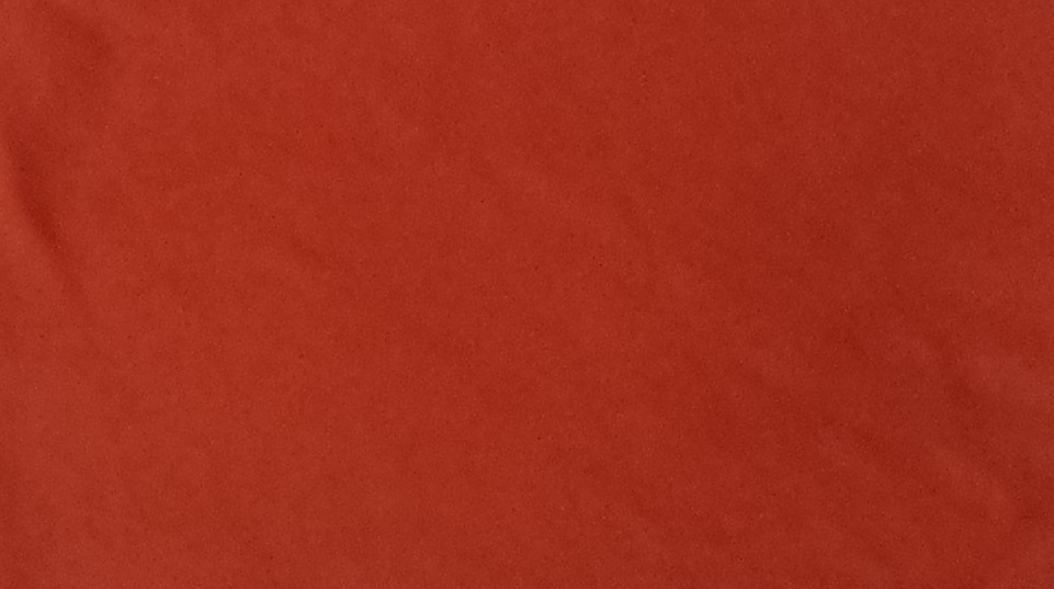 Dyeing of 100% polyester woven fabric with Disperse dye(Carrier Method).