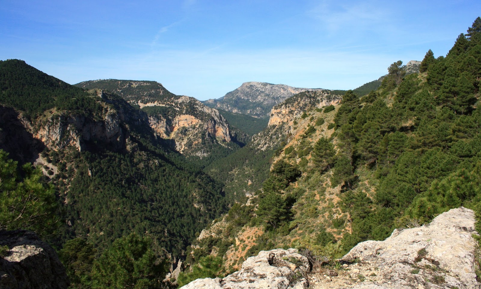 MEDIO NATURAL UN ESPACIO COMPARTIDO: CALAR DEL MUNDO (Parte I)