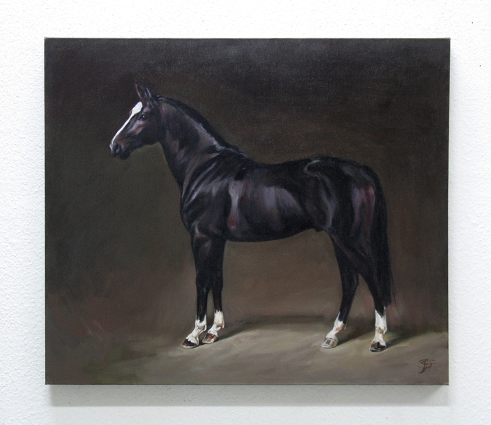 CHAMPION. TRAKEHNER HENGST / TRAKEHNER STALLION