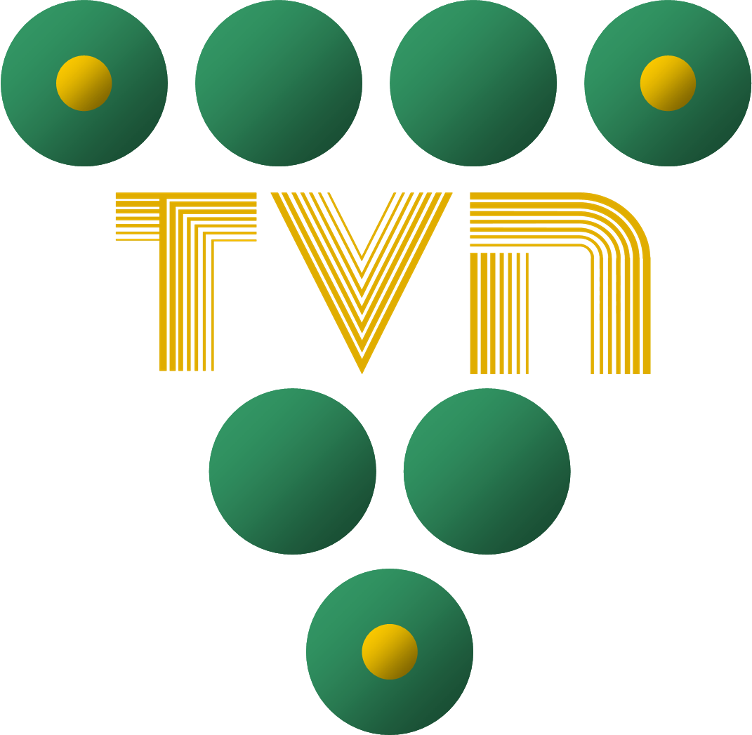 Logos TV Mundial - Lo que fueron Ayer: Televisora Nacional Canal 5 ...