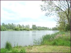 Fishing lakes around essex