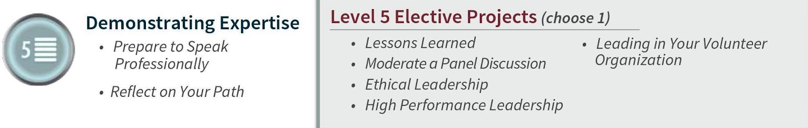 Toastmasters Speeches: Pathways - Presentation Mastery