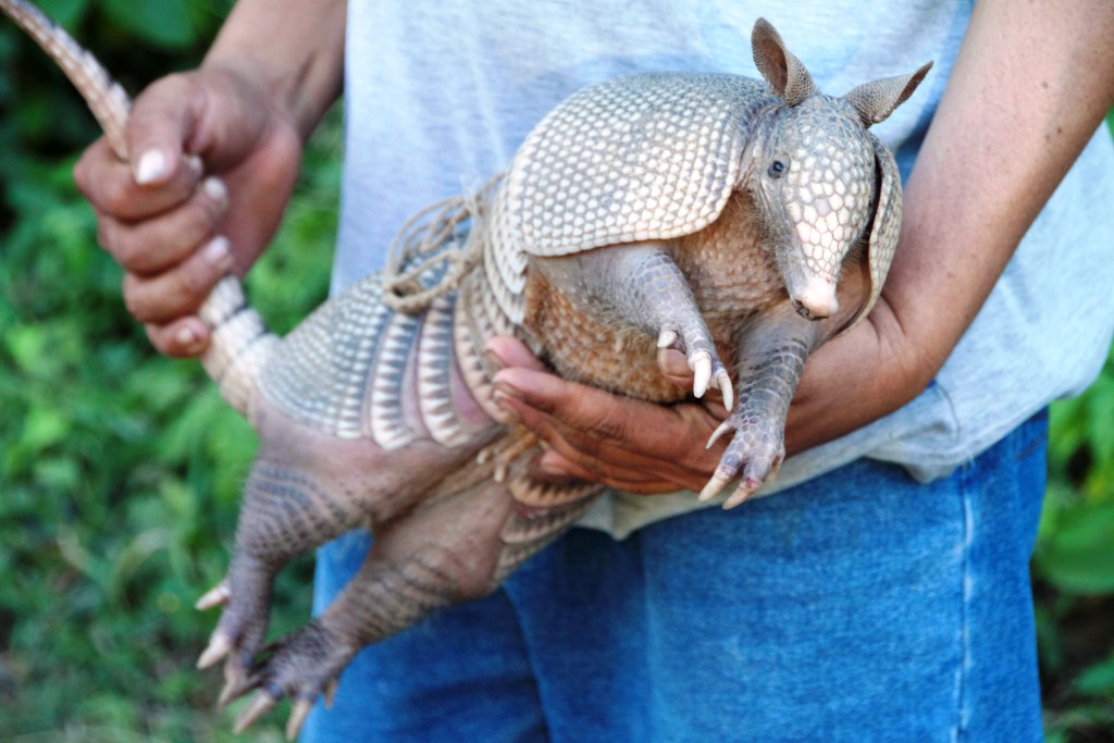 Laguna de Apoyo, Nicaragua: Trafficking in Wild Animals in Nicaragua