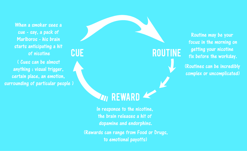 How Can You Successfully Transform your Habits?