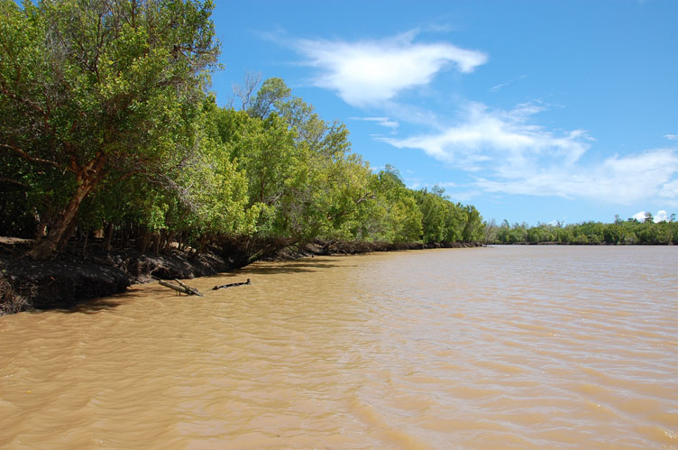 T-E-M-B-E-A Tanzania: Delta ya Mto Wami