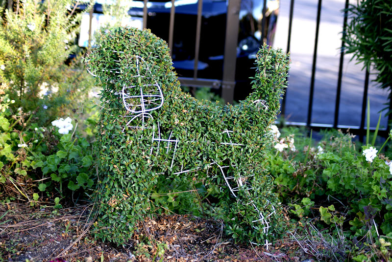 A photo, A thought............: Discovery: Incredible topiary designs