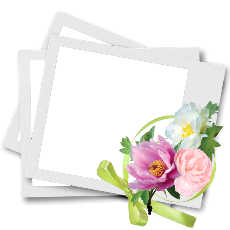 ForgetMeNot: Cluster spring frames