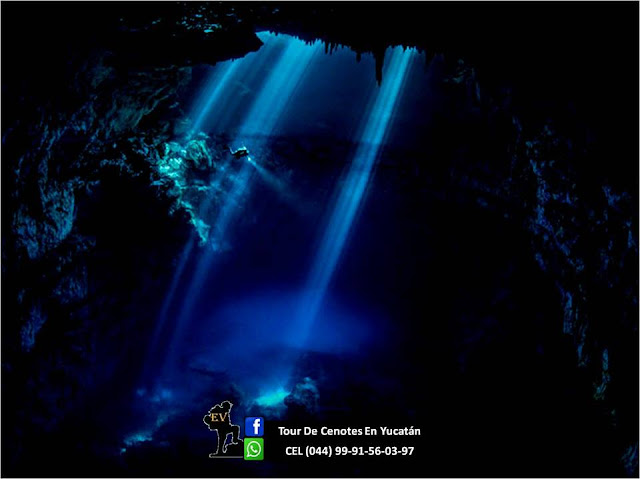 LOS CENOTES DE YUCATAN: EL FENOMENO DE LA HALOCLINA