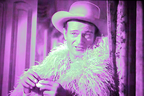 The Duke of Diprivan : Was John Wayne Bisexual?