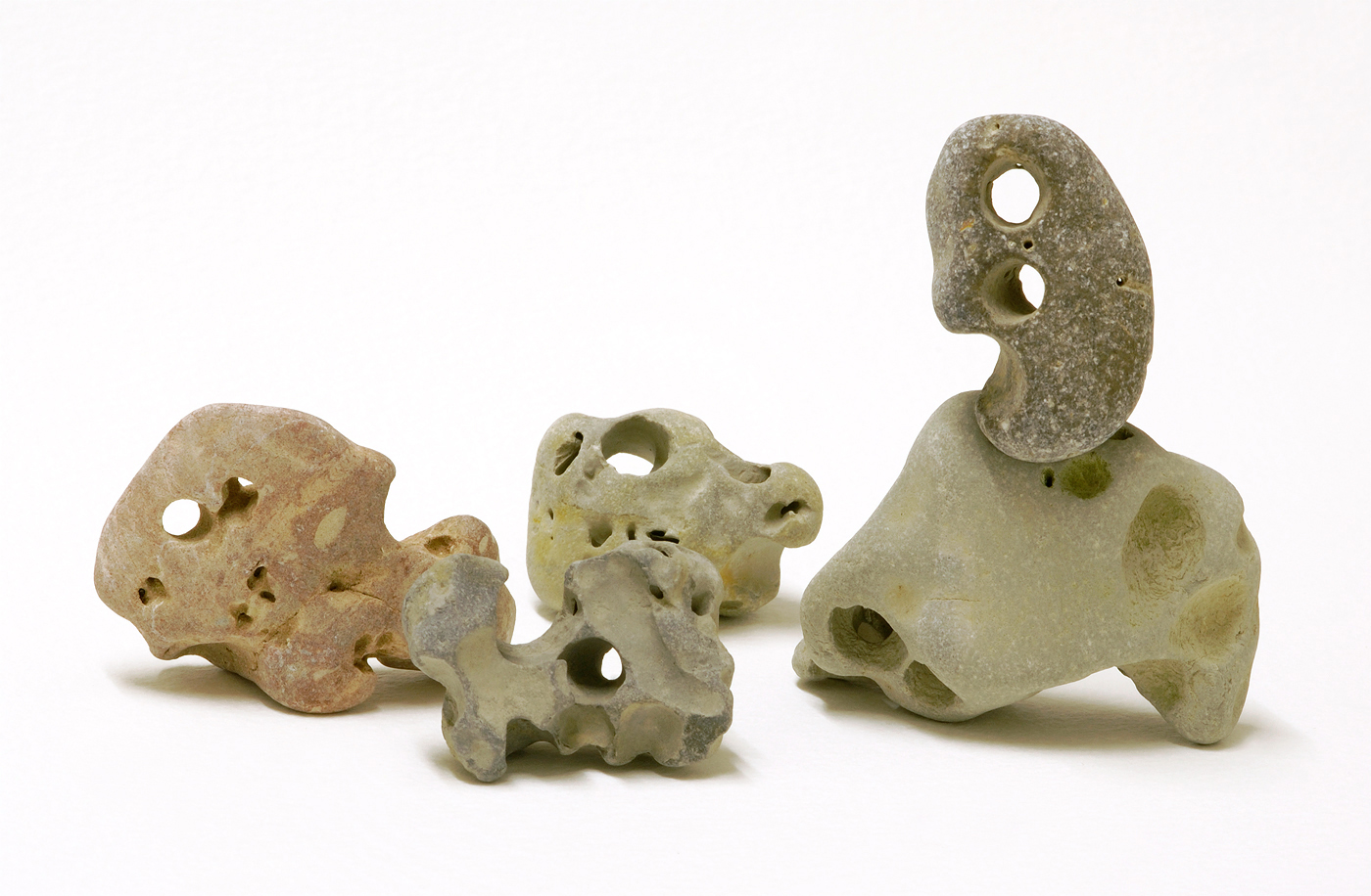 Scottish Wildlife Blog: Kildonan, Isle of Arran