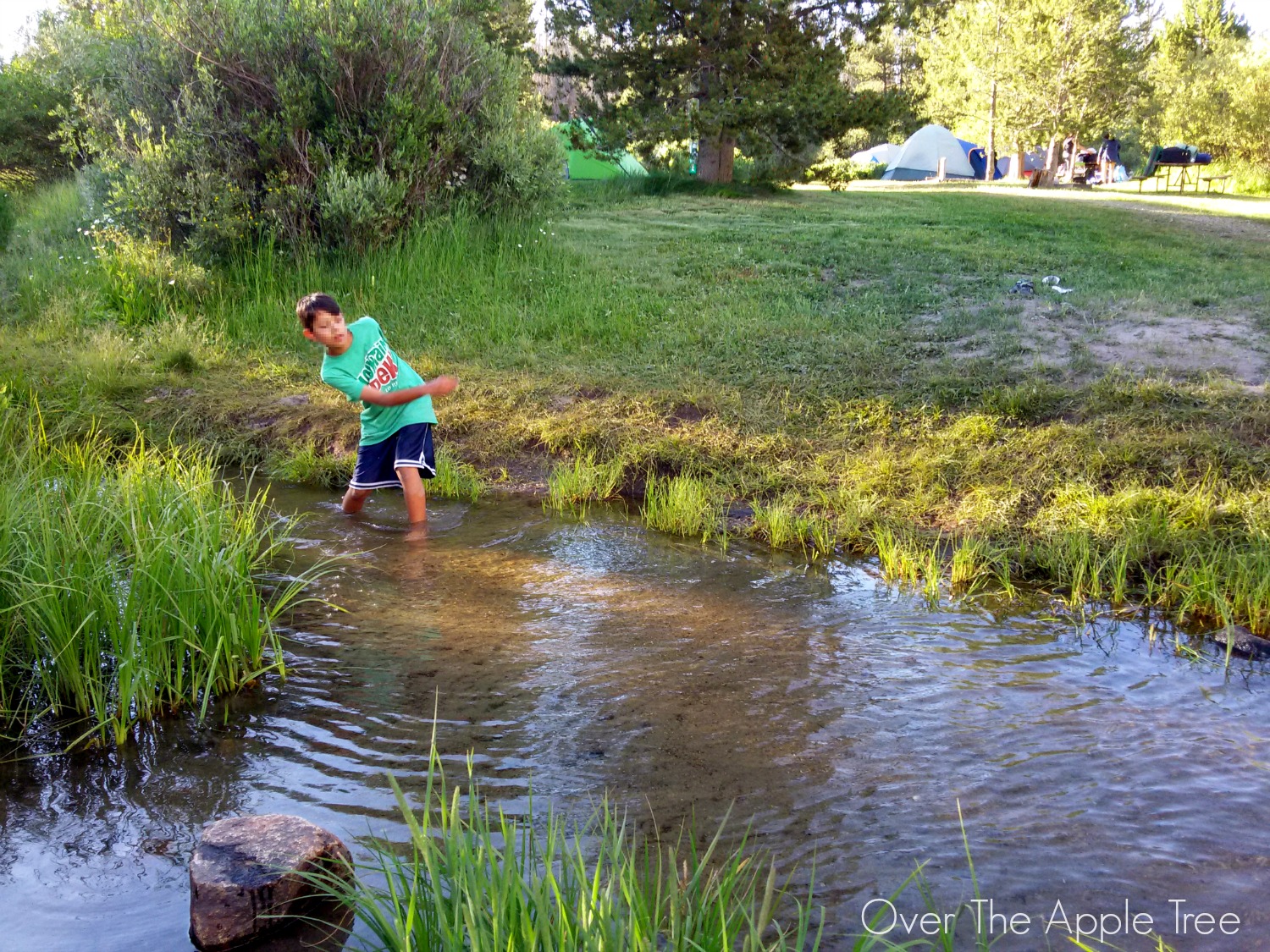 Over The Apple Tree: Family Camping 2016