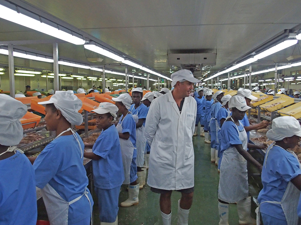 Soltuna Tuna Factory Tour