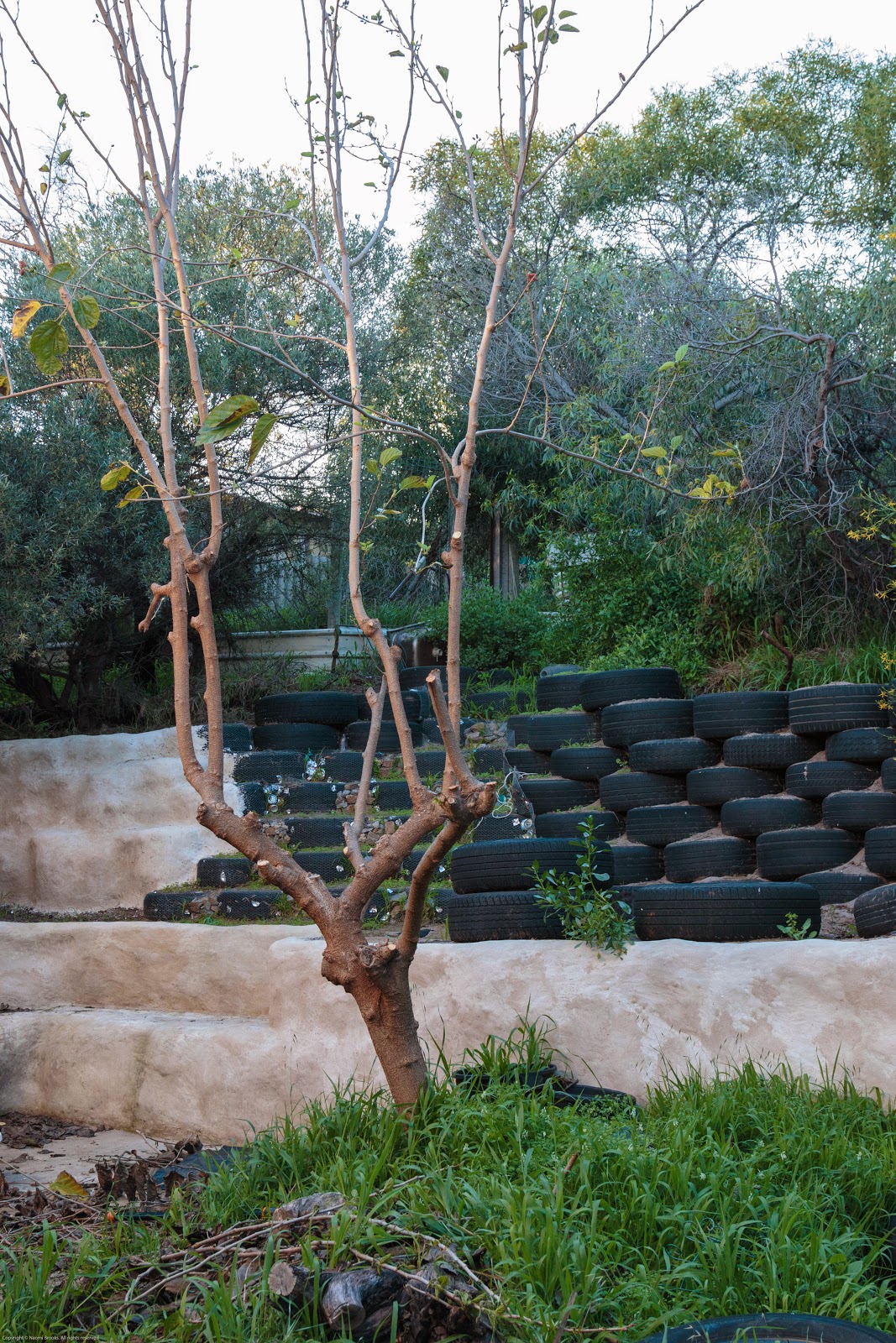 What's Next?: Reuse, recycle, and be creative