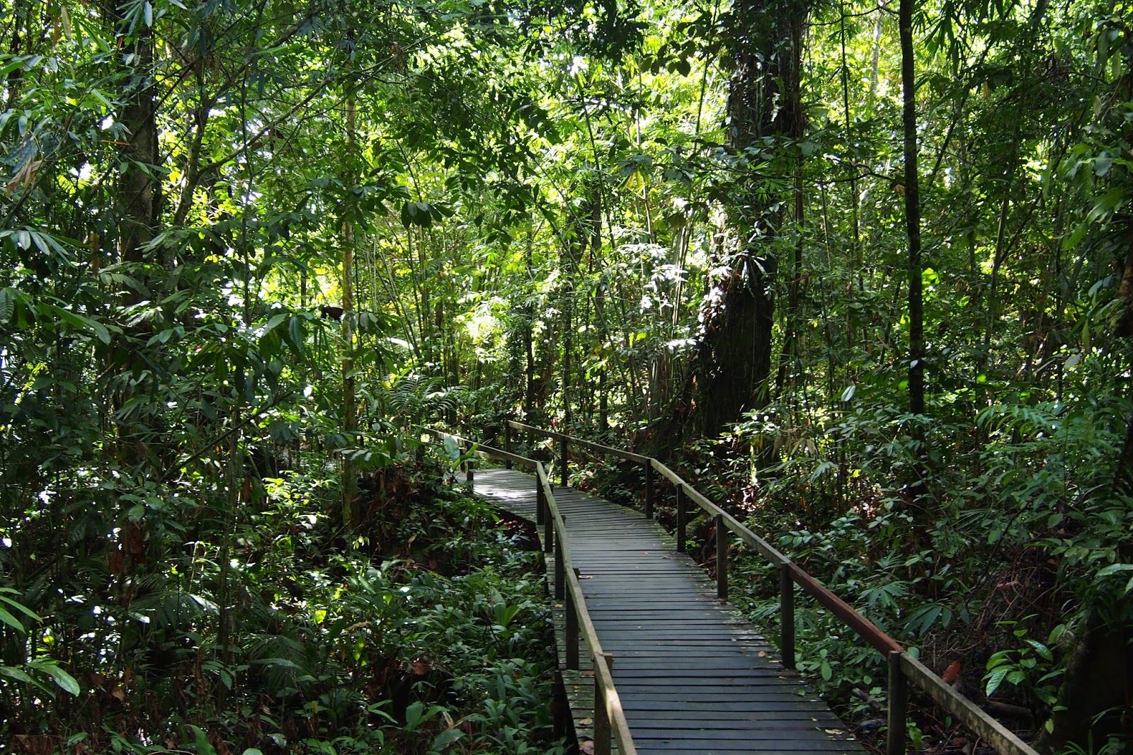Kuching Hidden Gems - Mount Singai