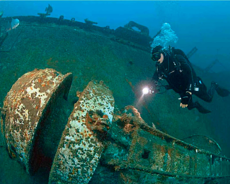 Dive Week in SPI | sealaura